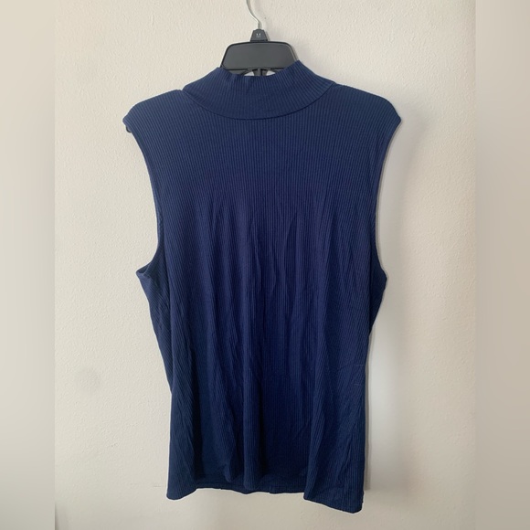 Sweaters | Sleeveless Mockneck | Poshmark